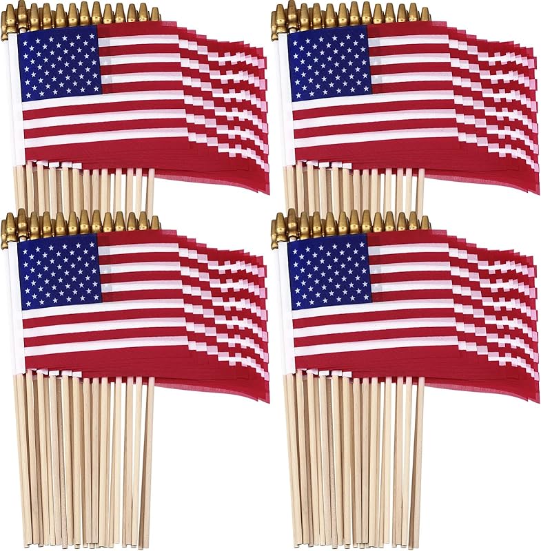 Tegeme 100 Pcs Small American Flags on Stick Mini Handheld 4th of July ...