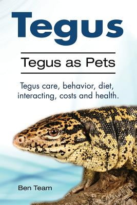 Tegus. Tegus as Pets. Tegus care, behavior, diet, interacting, costs ...
