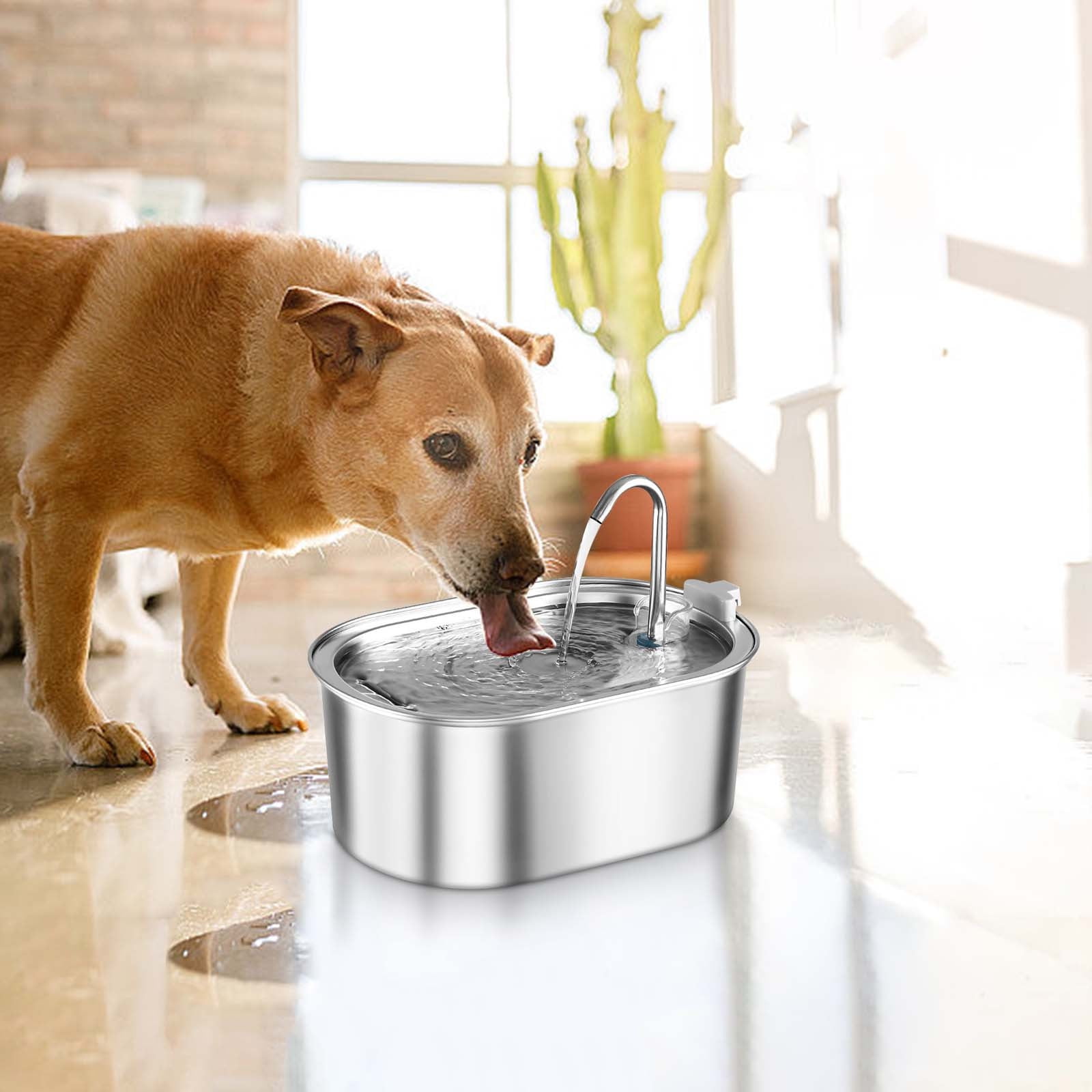 Teissuly All Stainless Steel Pet 3.2L Large Capacity Popular SUS304 Pet ...