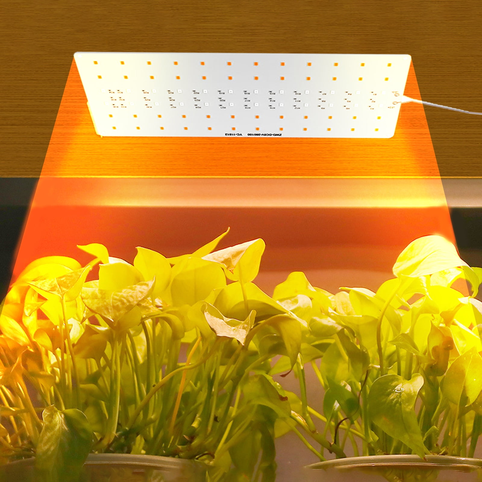 Teissuly LED Botanic Light Indoor USB Plant Light Hanging 5V Plant ...