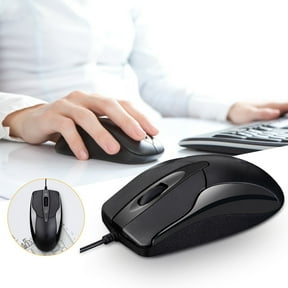 Rabbit Mouse