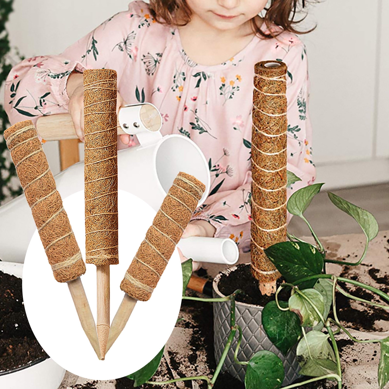 Teissuly Palm Stick Green Scindactus Plant Climbing Pole Flower Bracket ...