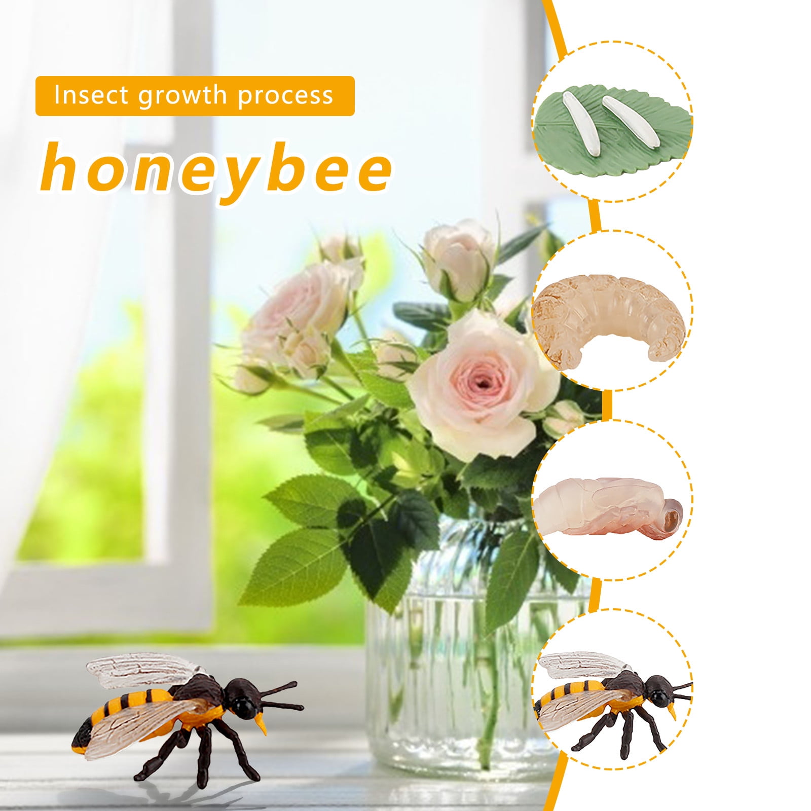 Tejiojio 4 Piece Insect Figure Insect Life Cycle Plastic Brood To ...