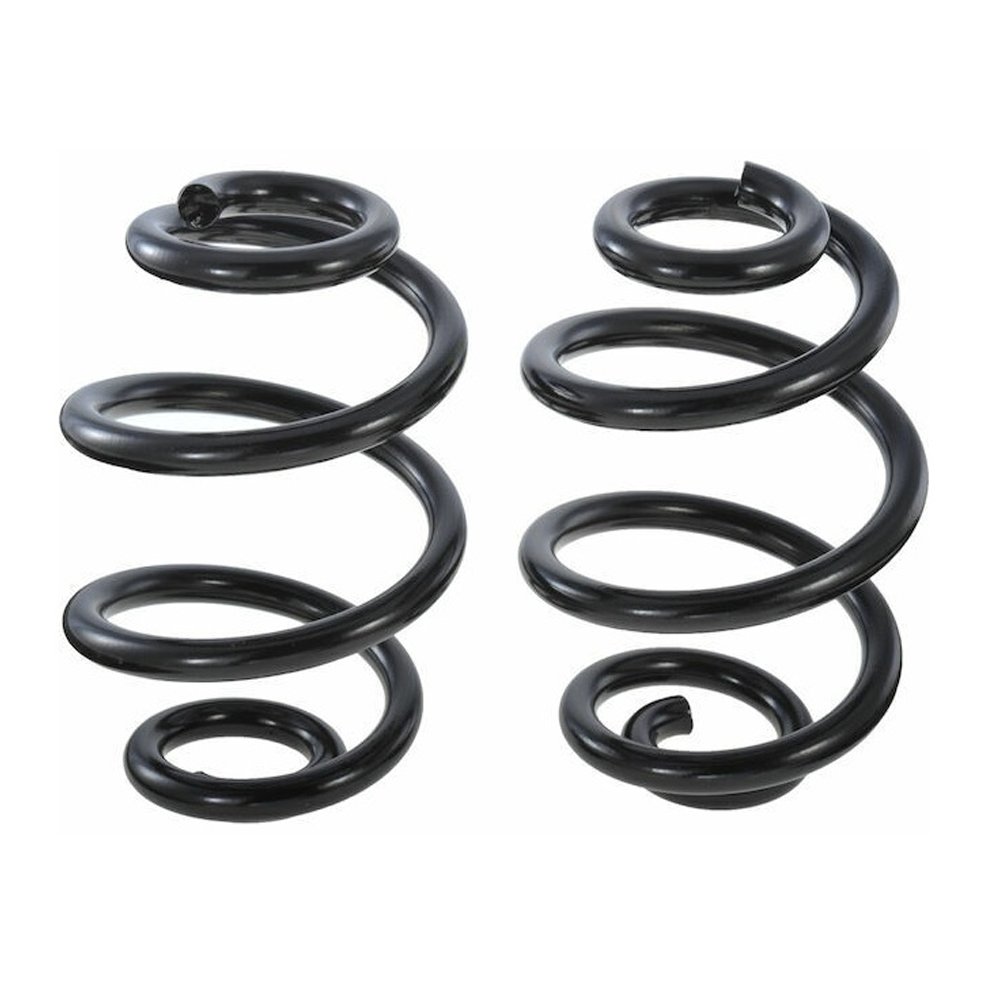 Bmw 323 Coil Spring Set