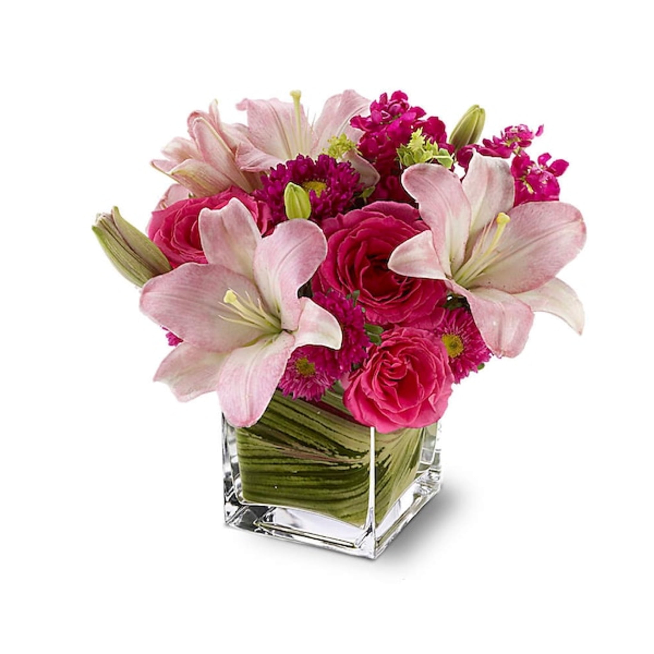 Posh Pinks - Standard - Walmart.com