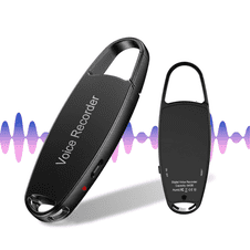 Electronic Voice Box