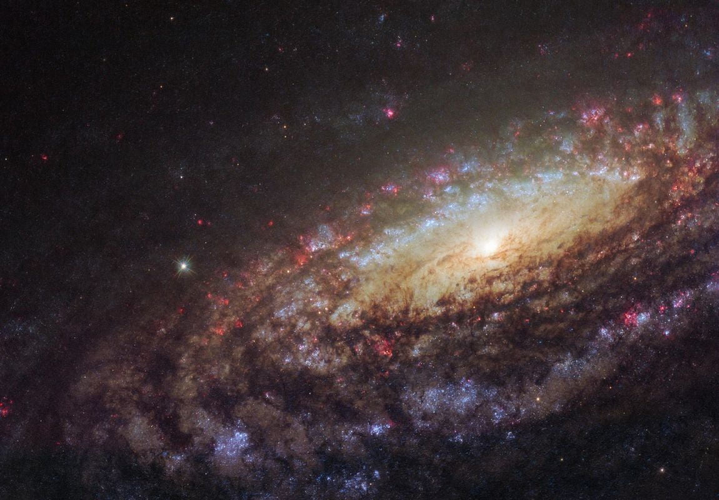 Telescope Universe Starry Sky Future Explore Background Photography ...