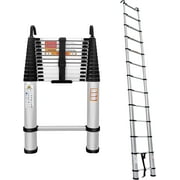 20 Foot Ladder in Ladders - Walmart.com
