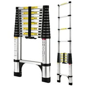 Tri Arc Ladder
