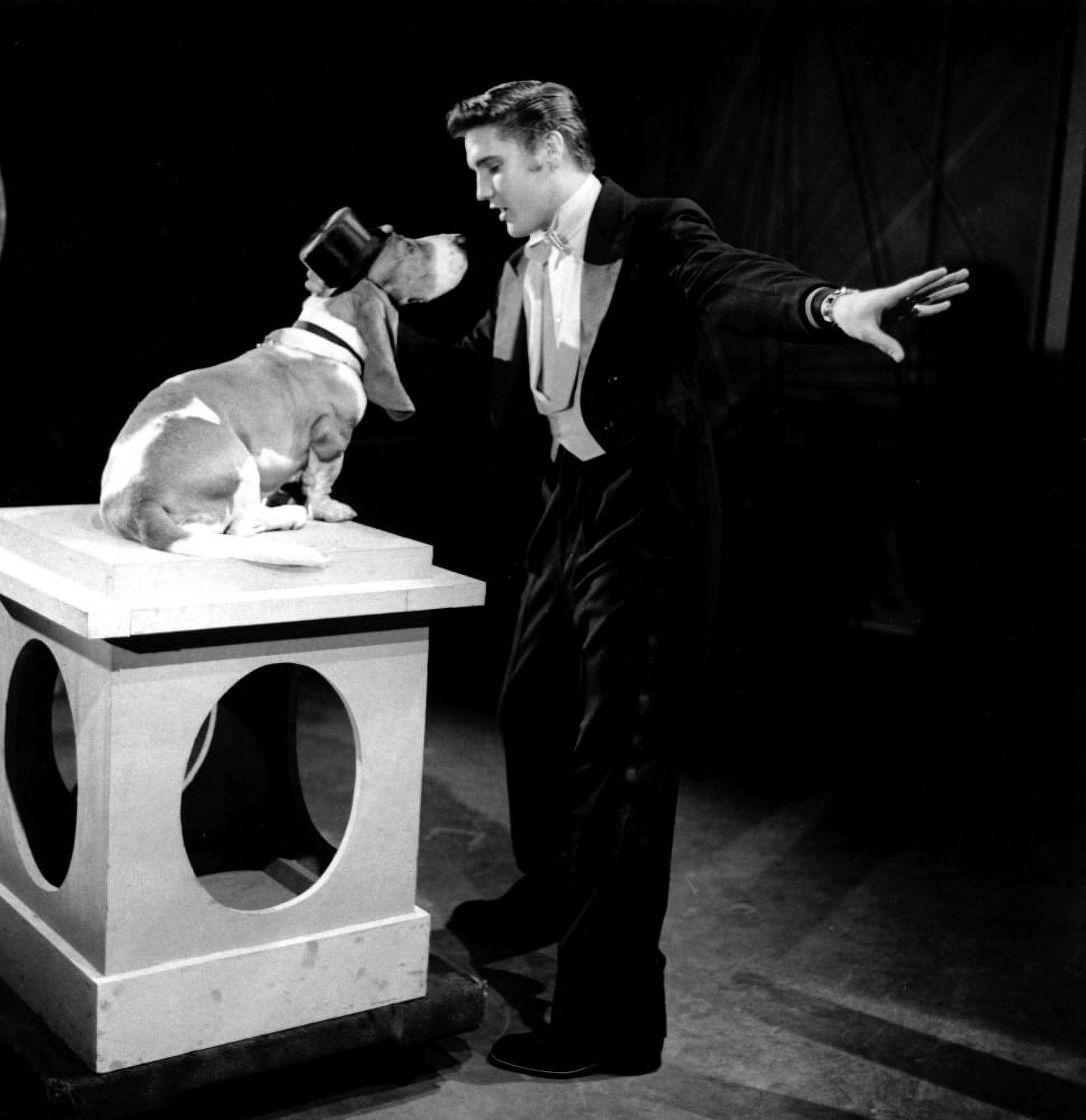 Television still of Elvis Presley on The Steve Allen Show Photo Print ...