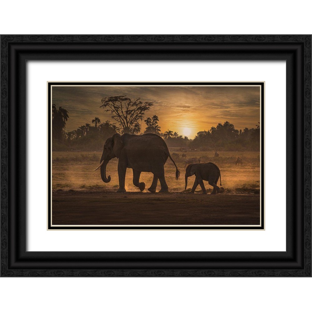 Telhami, Isam 18x13 Black Ornate Wood Framed with Double Matting Museum ...