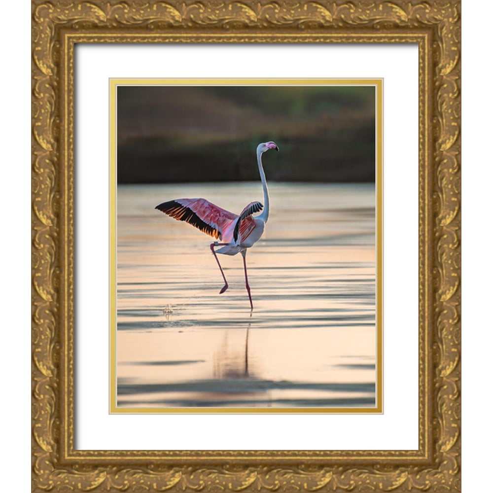 Telhami Isam 26x31 Gold Ornate Wood Framed With Double Matting Museum