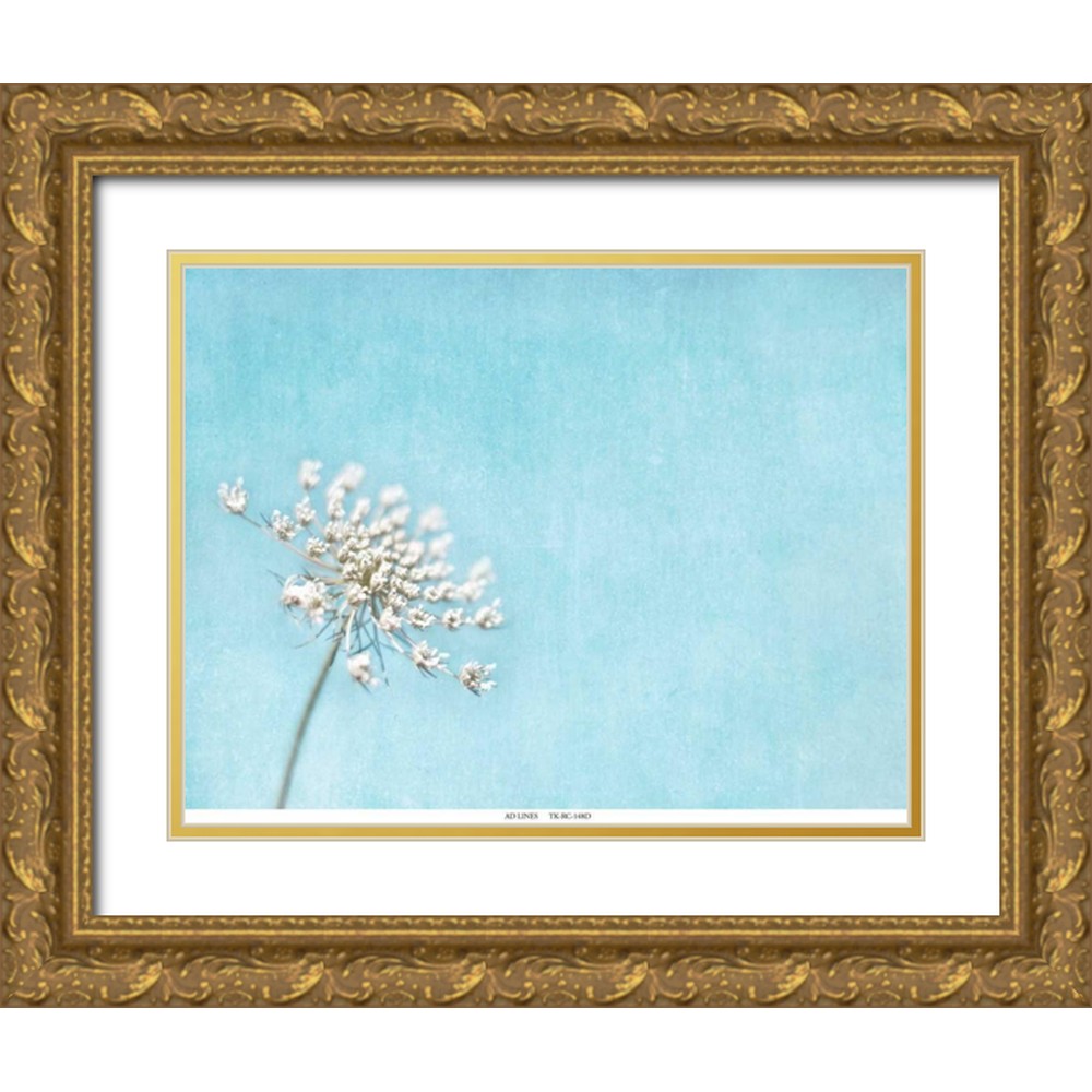 Telik, Tracey 14x12 Gold Ornate Wood Framed with Double Matting Museum ...