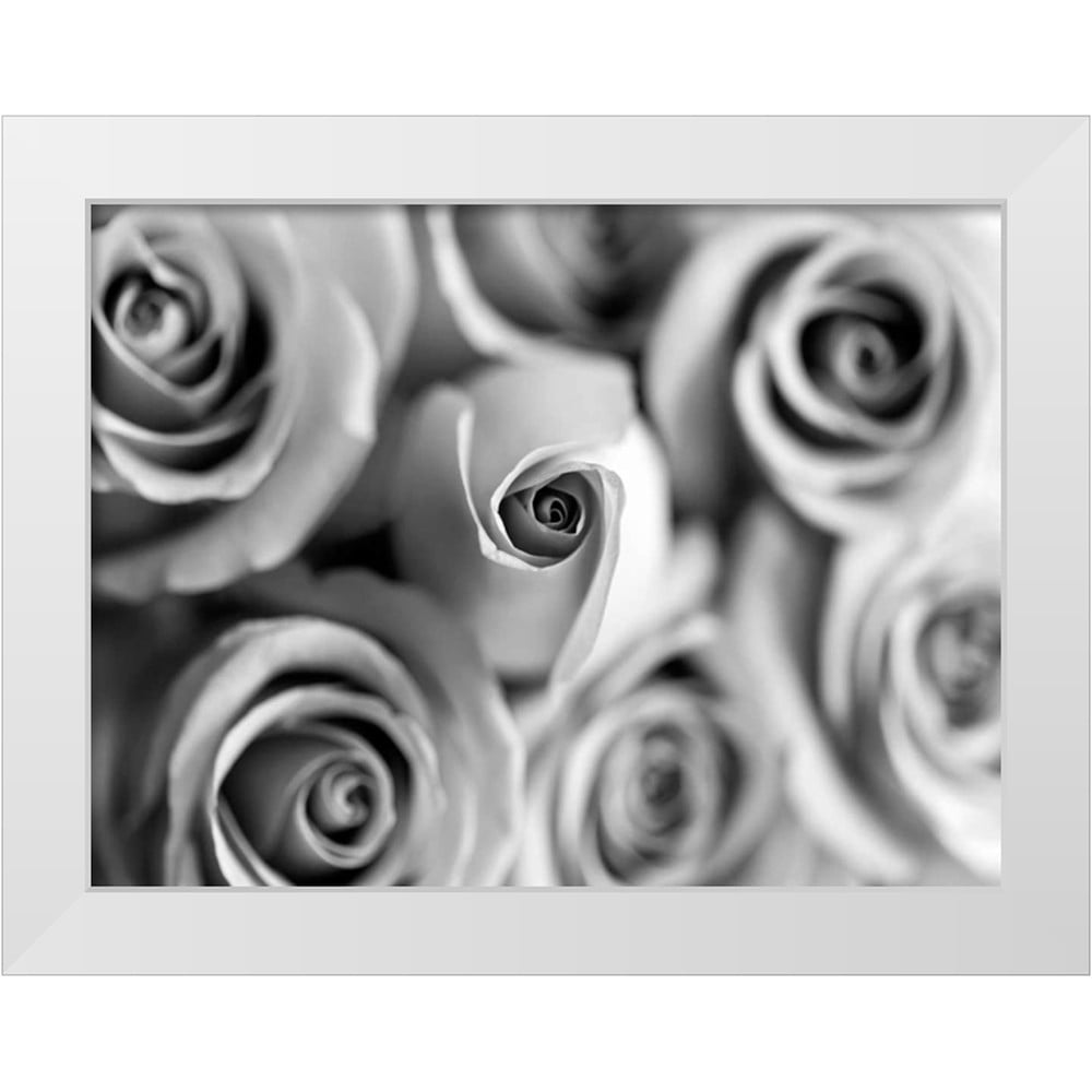 Telik, Tracey 14x12 White Modern Wood Framed Museum Art Print Titled ...