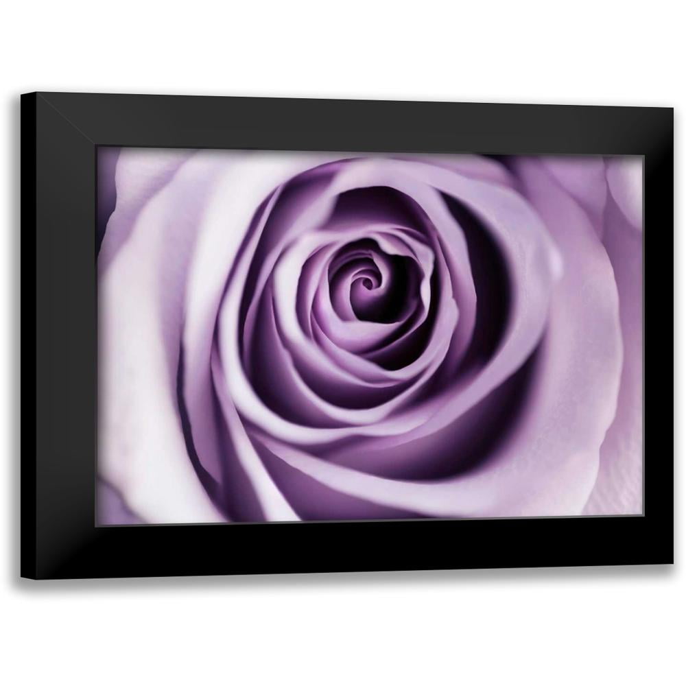 Telik, Tracey 18x15 Black Modern Framed Museum Art Print Titled ...