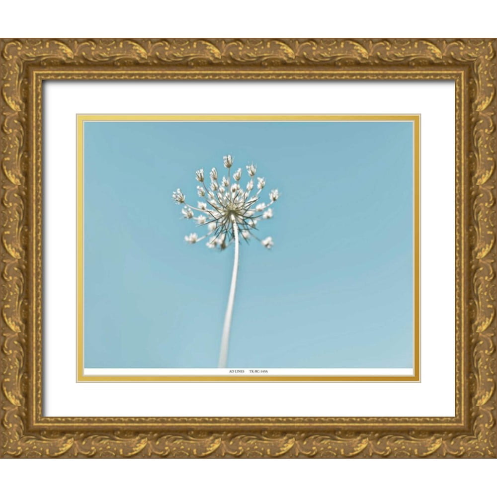 Telik, Tracey 18x15 Gold Ornate Wood Framed with Double Matting Museum ...