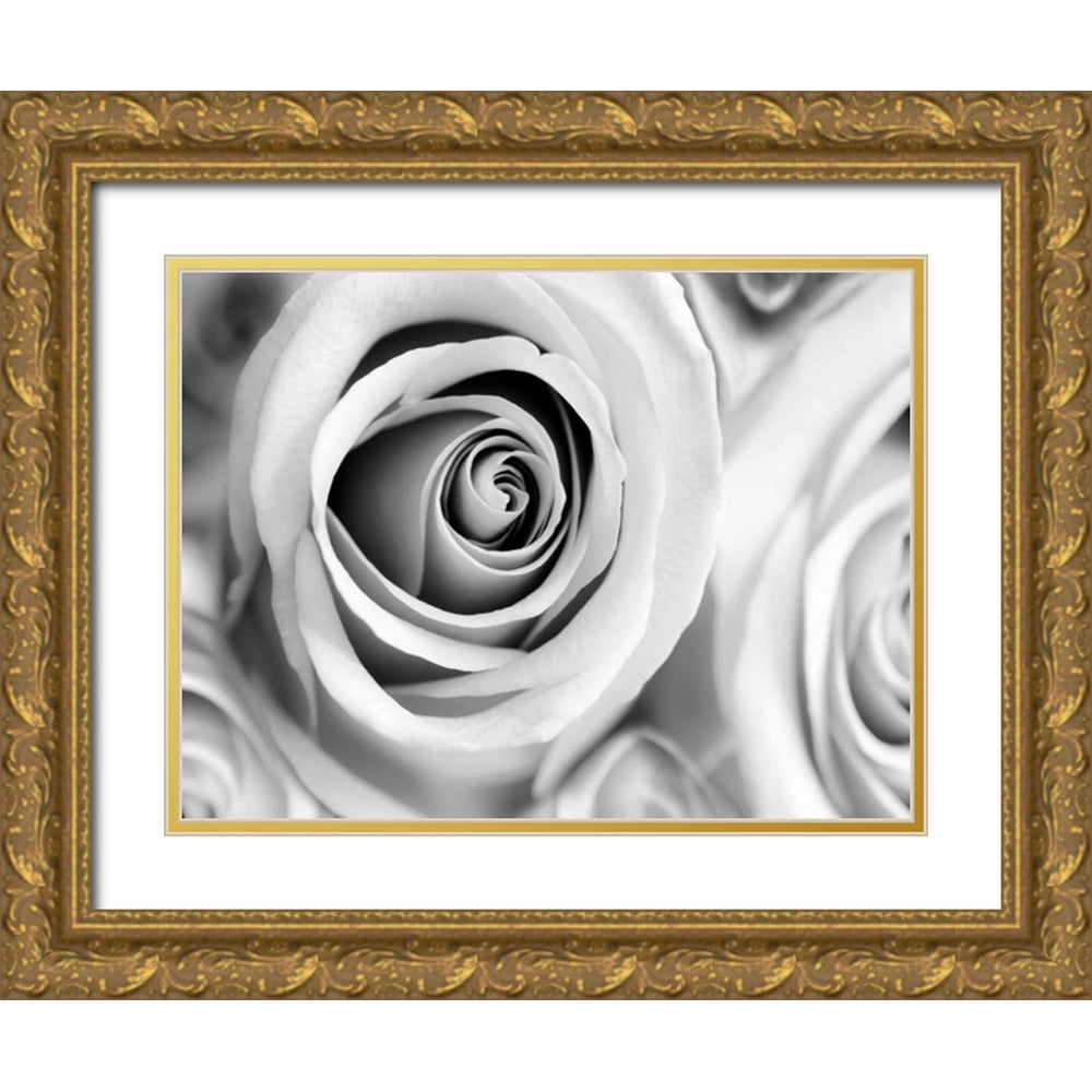 Telik, Tracey 18x15 Gold Ornate Wood Framed with Double Matting Museum ...