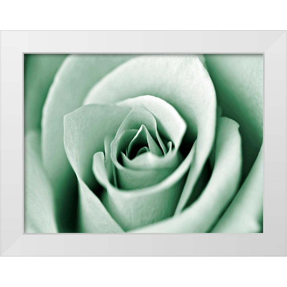 Telik, Tracey 18x15 White Modern Wood Framed Museum Art Print Titled ...