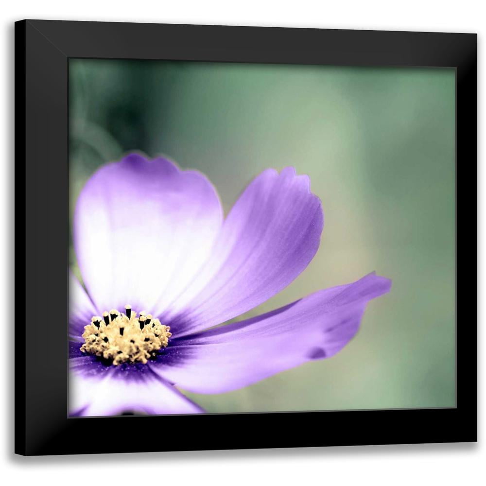 Telik, Tracey 20x20 Black Modern Framed Museum Art Print Titled ...