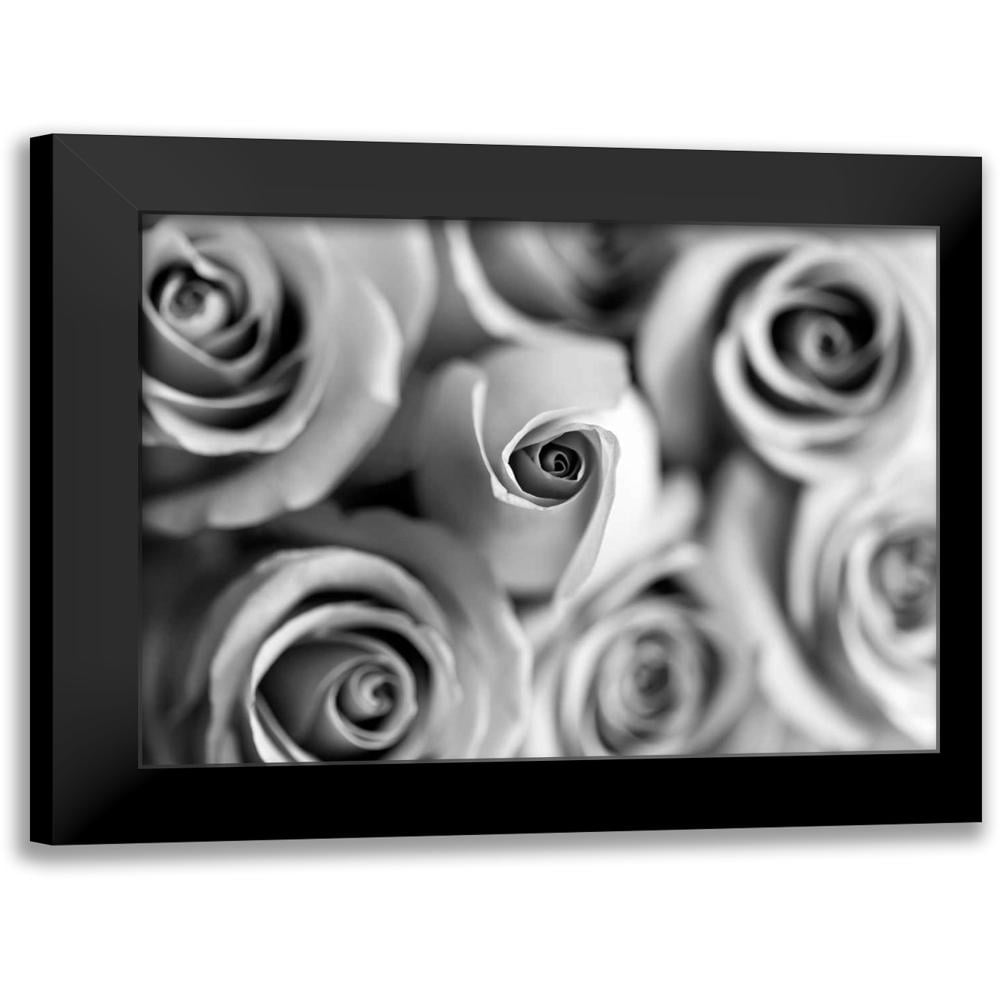Telik, Tracey 24x19 Black Modern Framed Museum Art Print Titled ...
