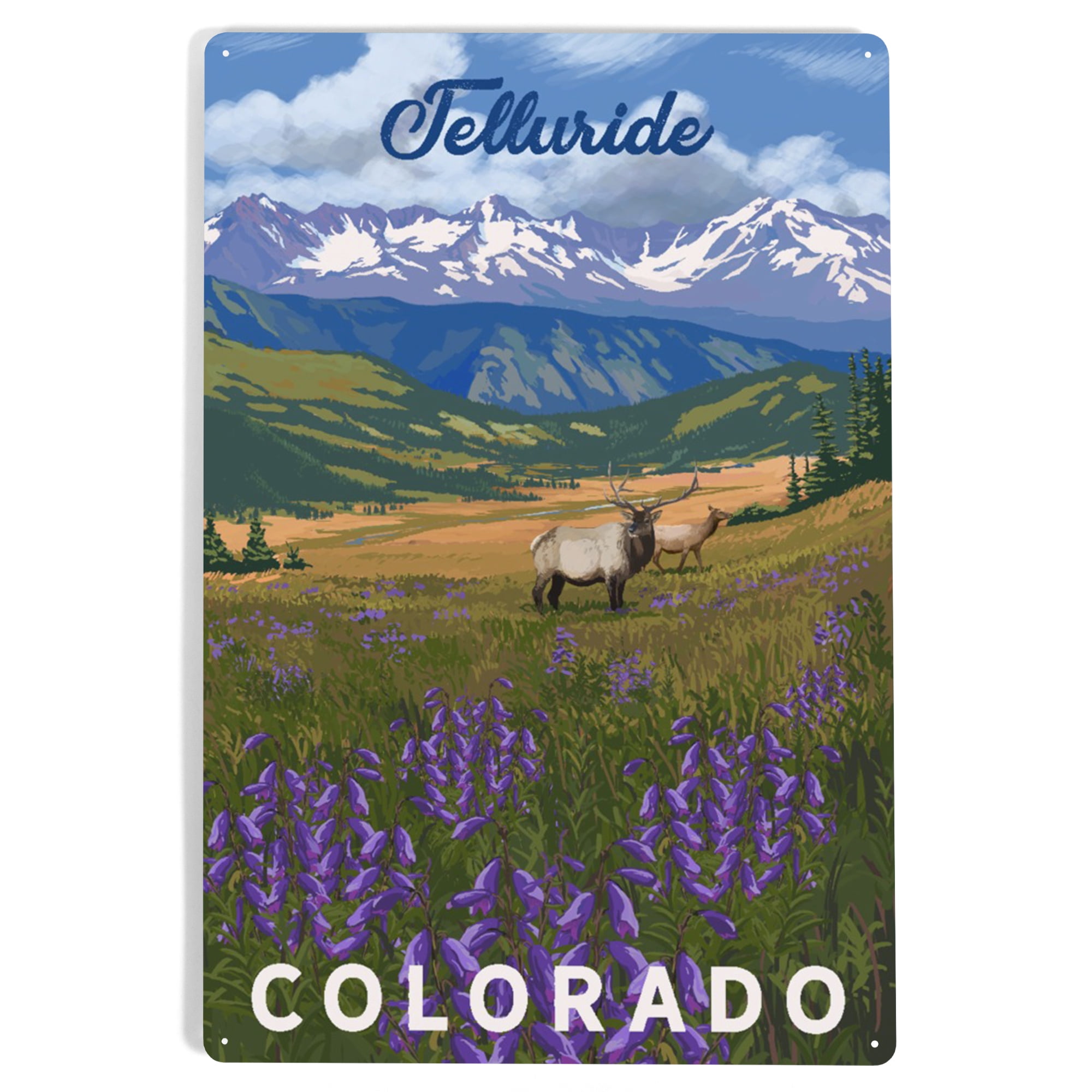 Telluride, Colorado, Elk and Flowers (12x18 Aluminum Art, Indoor ...