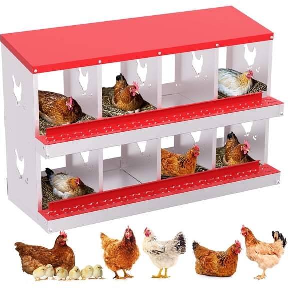 Nesting Boxes Chickens