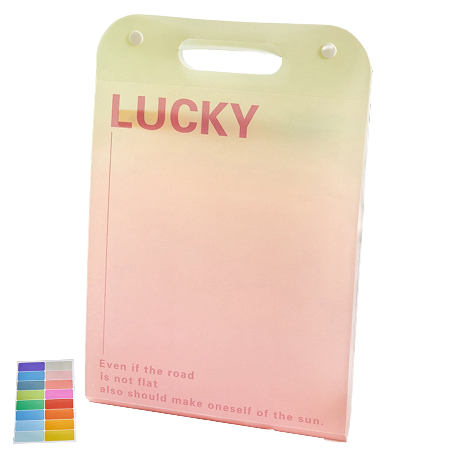 Temacd 1 Set A4 File Folder with Tabs Multi-pages 13 Vertical Pockets ...
