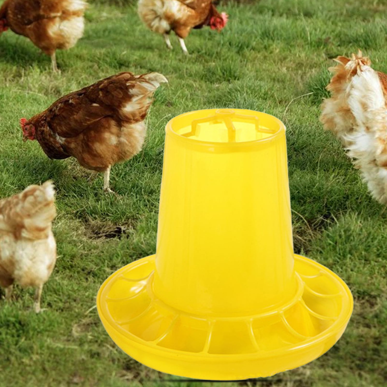 Temacd Convenient Chicken Feed Bucket Easy Use PE Strong Toughness ...