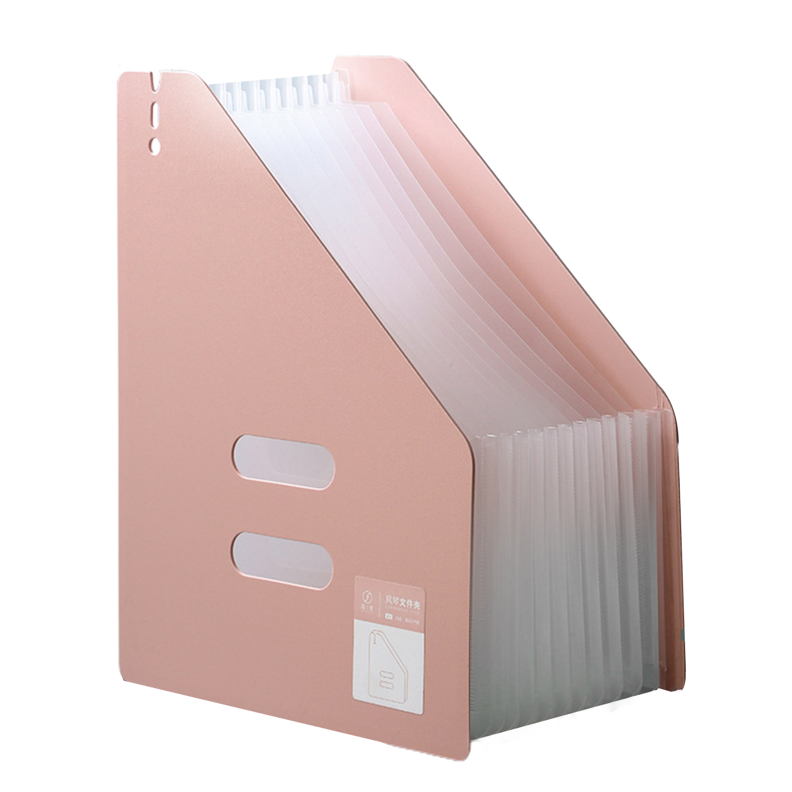 Temacd File Folder Multi-pages 13 Pockets Vertical Expandable ...