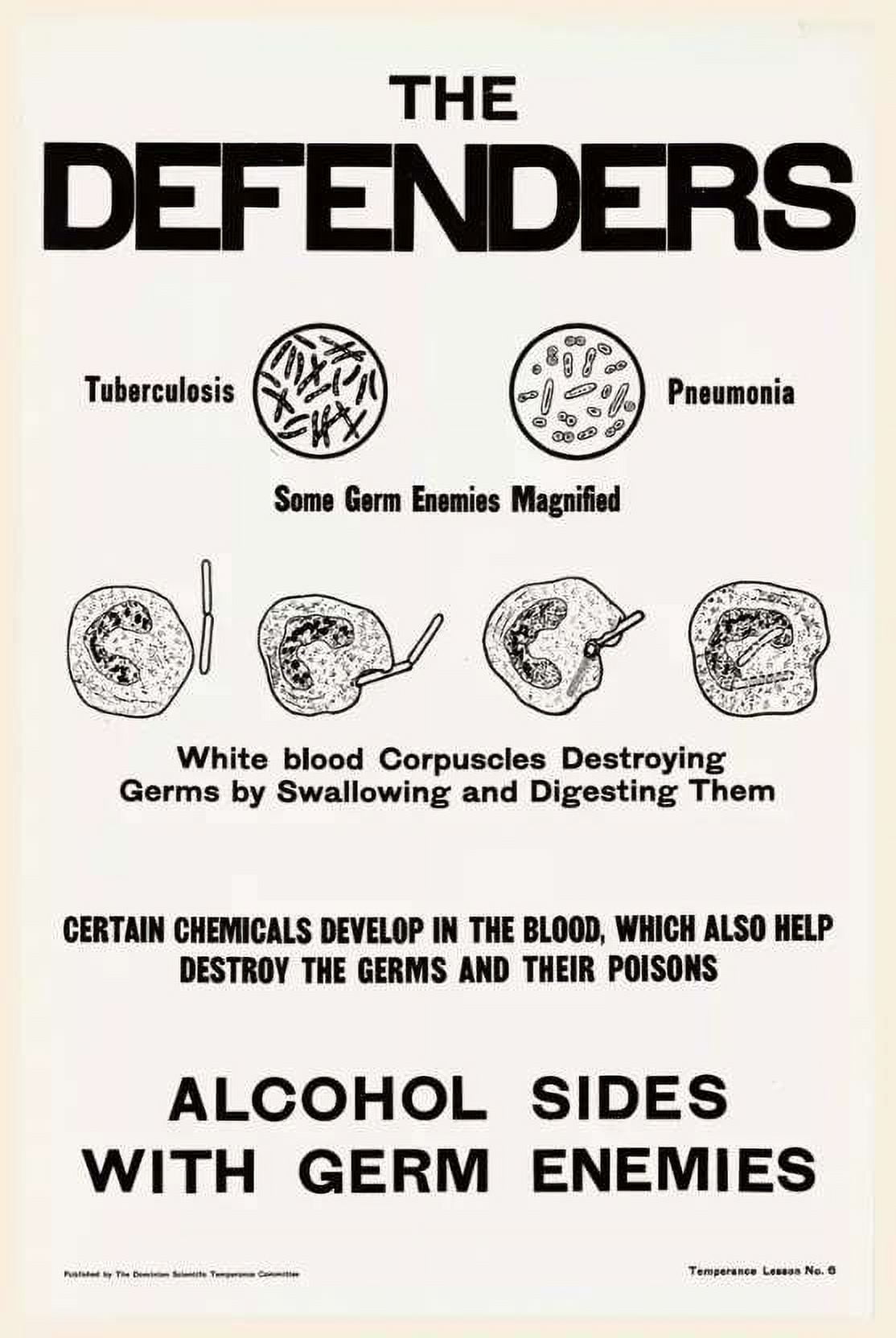 .Temperance lesson Alcohol POSTER.Home office room Decor.Graphic art ...