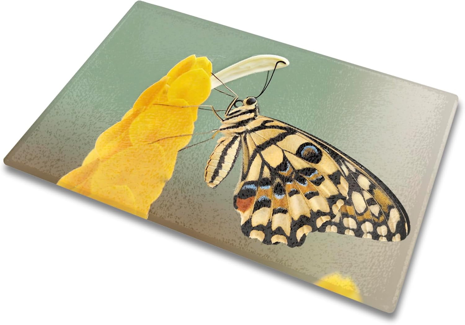 Tempered Glass Cutting Board for Kitchen Counter, Butterfly Cutting ...