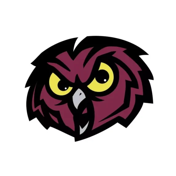 Temple Owls Logo Sticker Baseball Sticker, Football Sticker, Basketball ...
