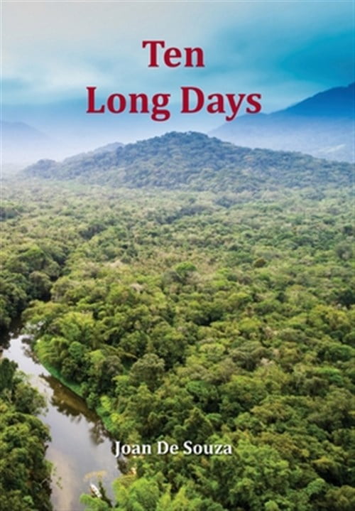 Pre-Owned Ten Long Days - Walmart.com