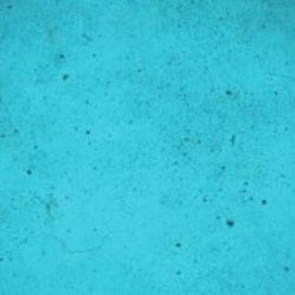 Ten Second Color™ (TSC) Concrete Dye Concentrate Makes 32oz. (Caribbean ...