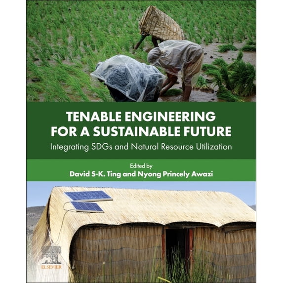Tenable Engineering for a Sustainable Future: Integrating Sdgs and ...