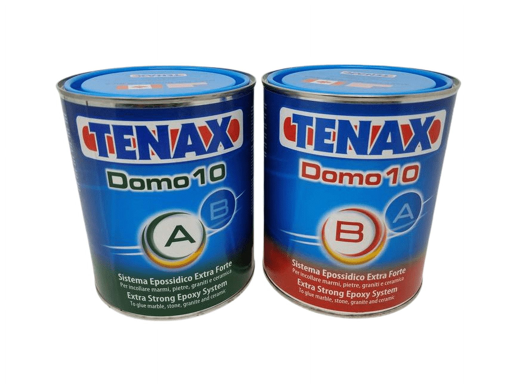 Tenax Domo 10 - Strong Two Part Epoxy for Stone, Suitable for Interior ...