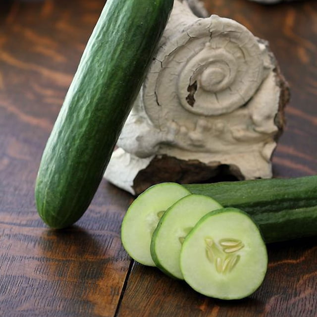 Tendergreen Burpless Cucumber Seeds - 1 OZ ~700 Seeds - Heirloom, Open ...