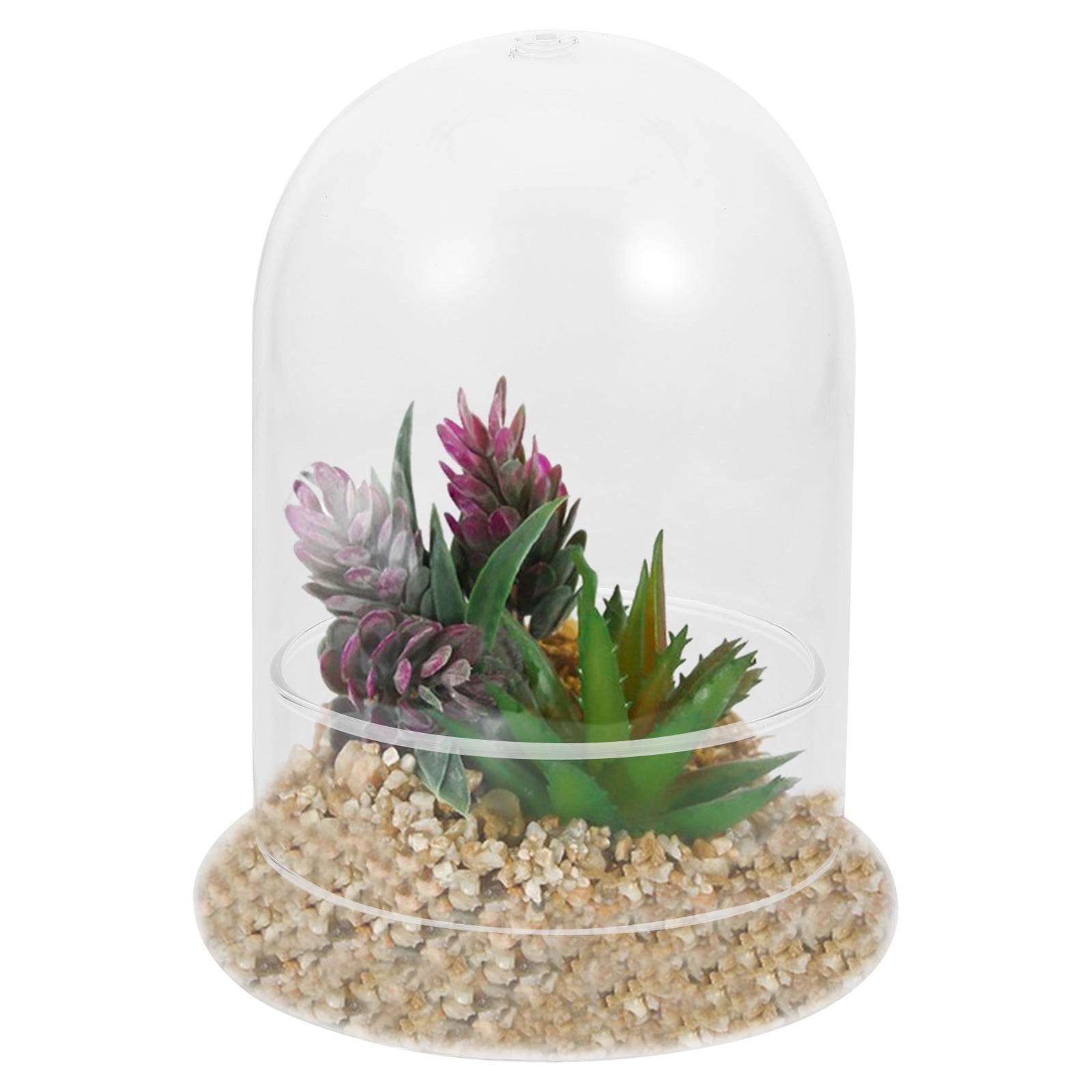 Tendycoco 1pcs Small Clear Glass Terrarium, Glass Terrarium Planter ...