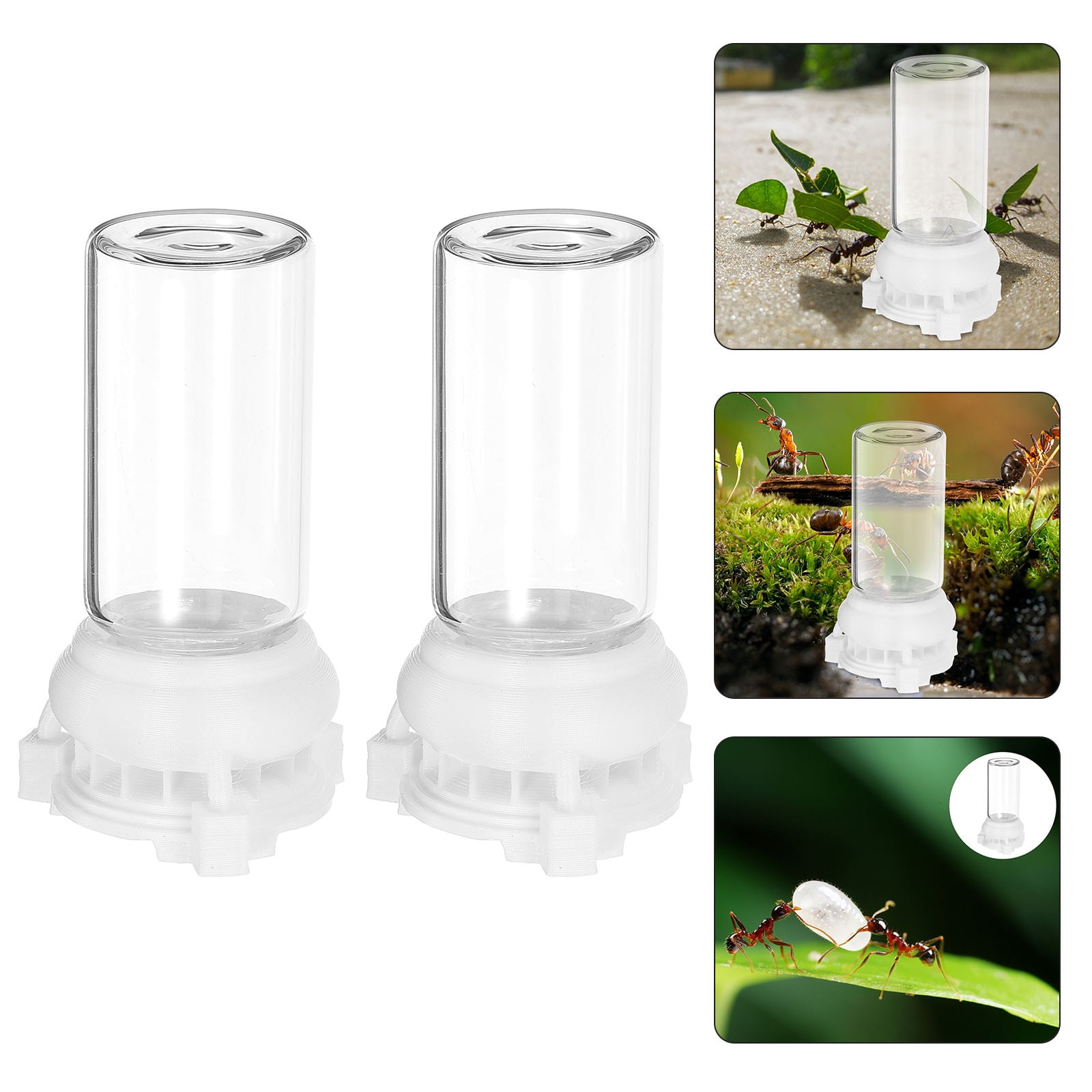 UPKOCH 2pcs Home Ant Water Feeding Supplies Transparent Ant Feeding ...