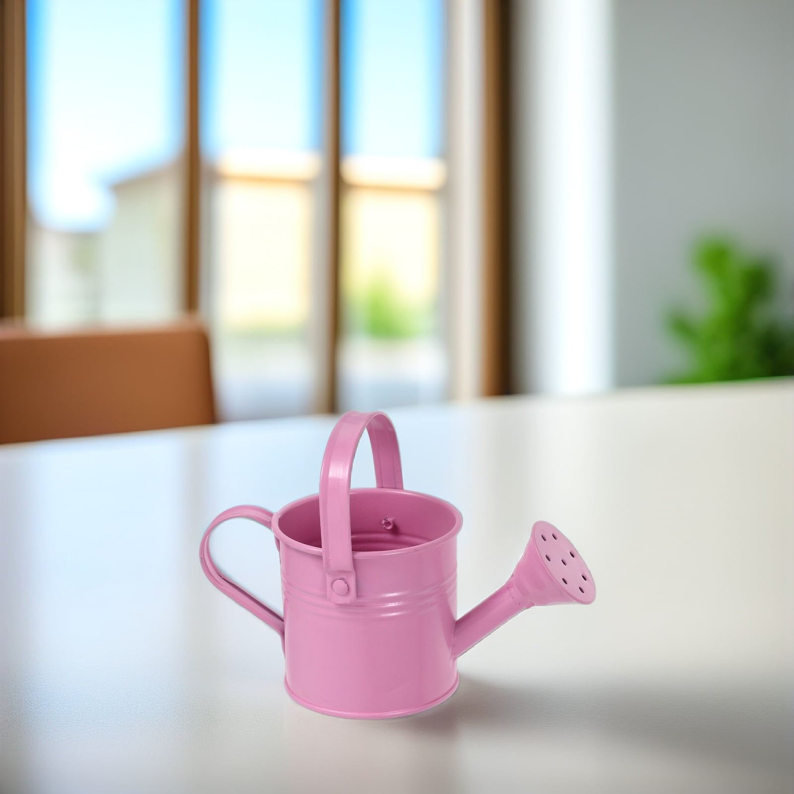 Tendycoco Kids Watering Can Metal Mini Watering Can Galvanized Iron ...