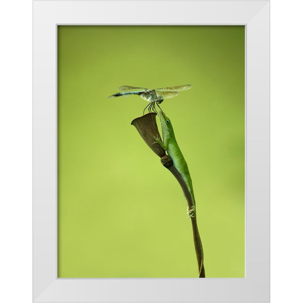 Teng, Gerri 19x24 White Modern Wood Framed Museum Art Print Titled ...