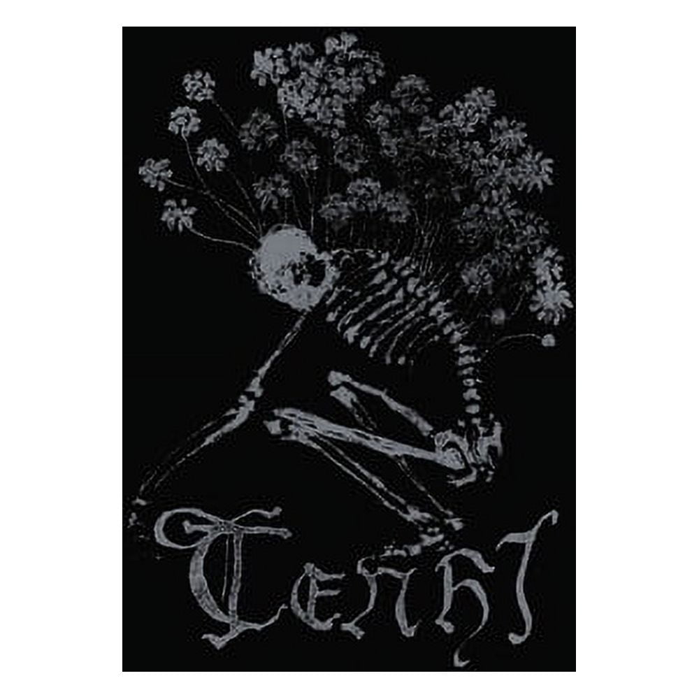 Tenhi - Collected Works 2023 - Music & Performance - Vinyl - Walmart.com