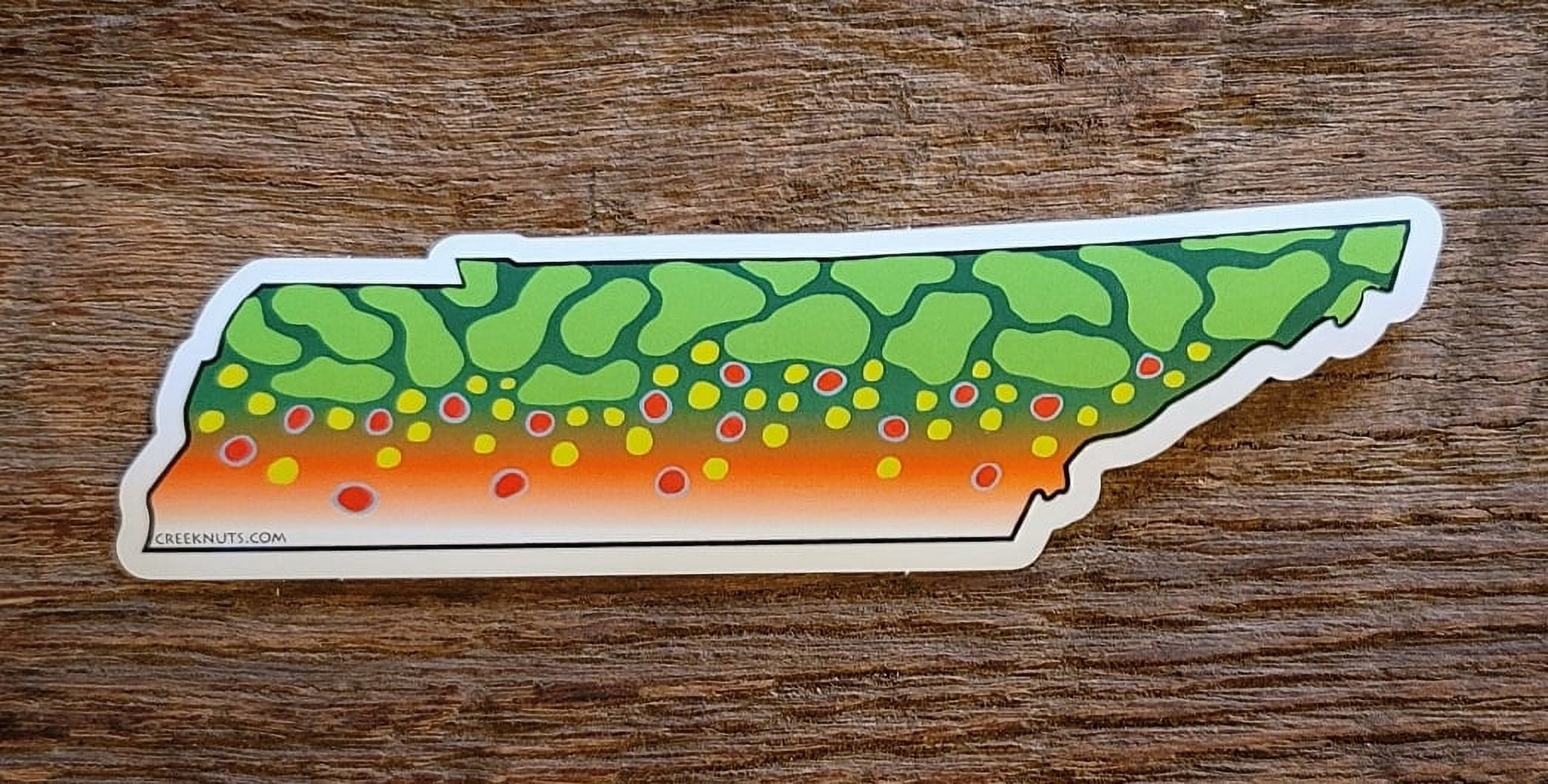 Tennessee Brook Trout Skin Sticker Decal - Walmart.com