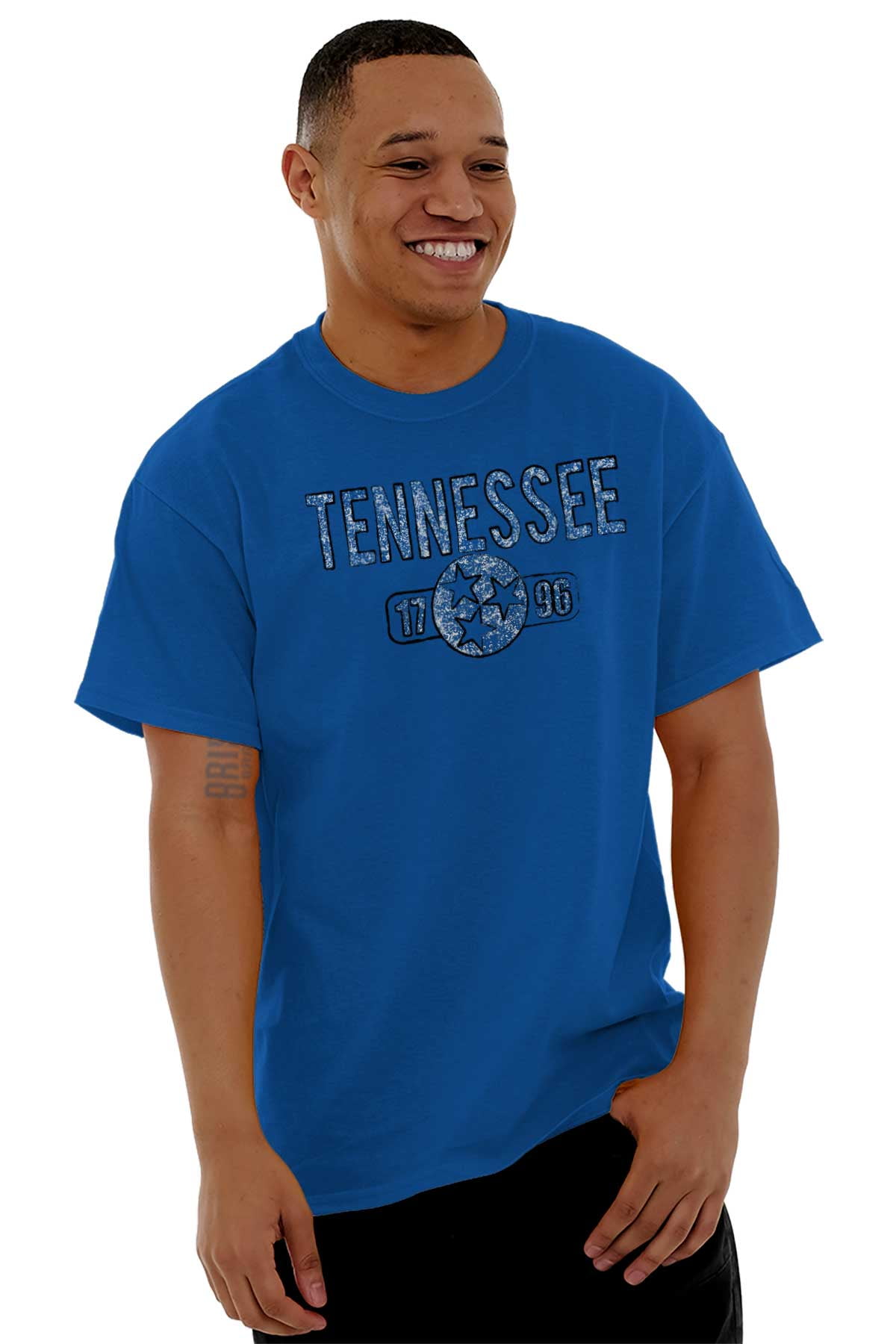 Tennessee Stenciled State Flag Icon Plus Size Crewneck Graphic Tee ...