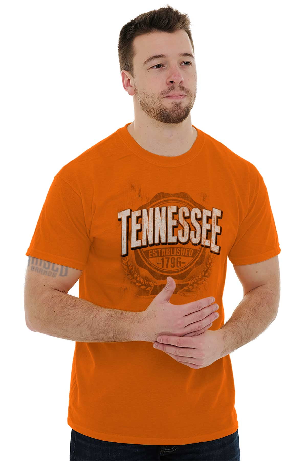 Tennessee TN Student Campus Pride Men's Graphic T Shirt Tees Brisco ...