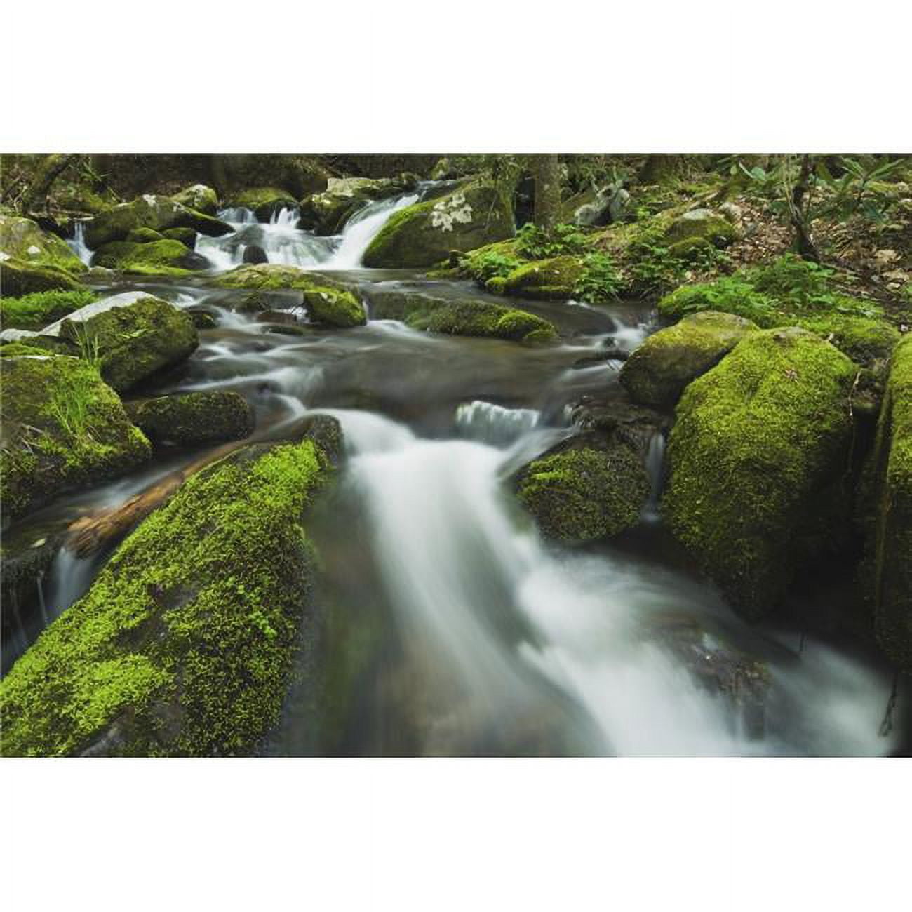 Tennessee - United States of America - Moss Covered Rocks & Boulders In ...