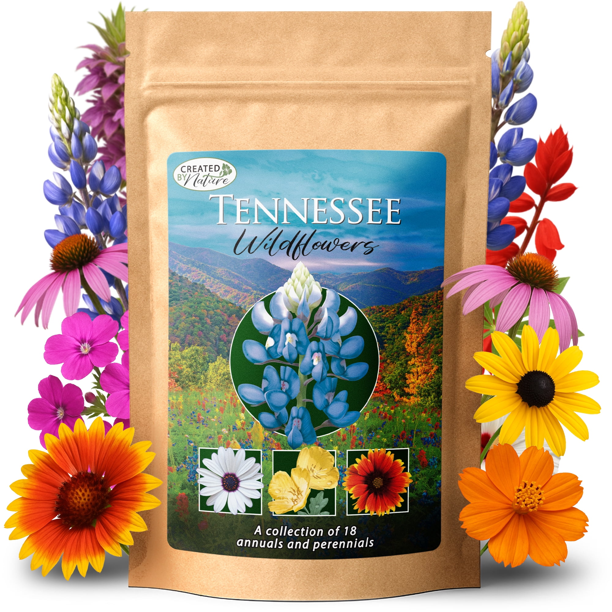 Tennessee Wildflower Seed Mix, 18 Flower Varieties, 35,000 Seeds ...