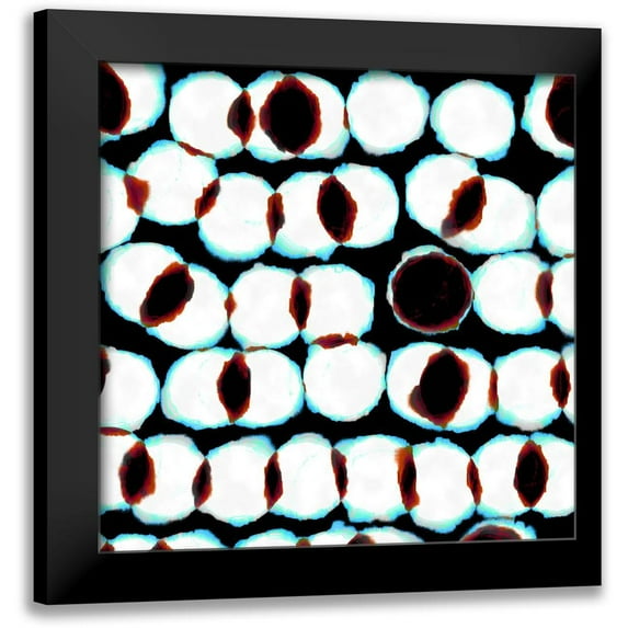 Tenoever, William 12x12 Black Modern Framed Museum Art Print Titled ...