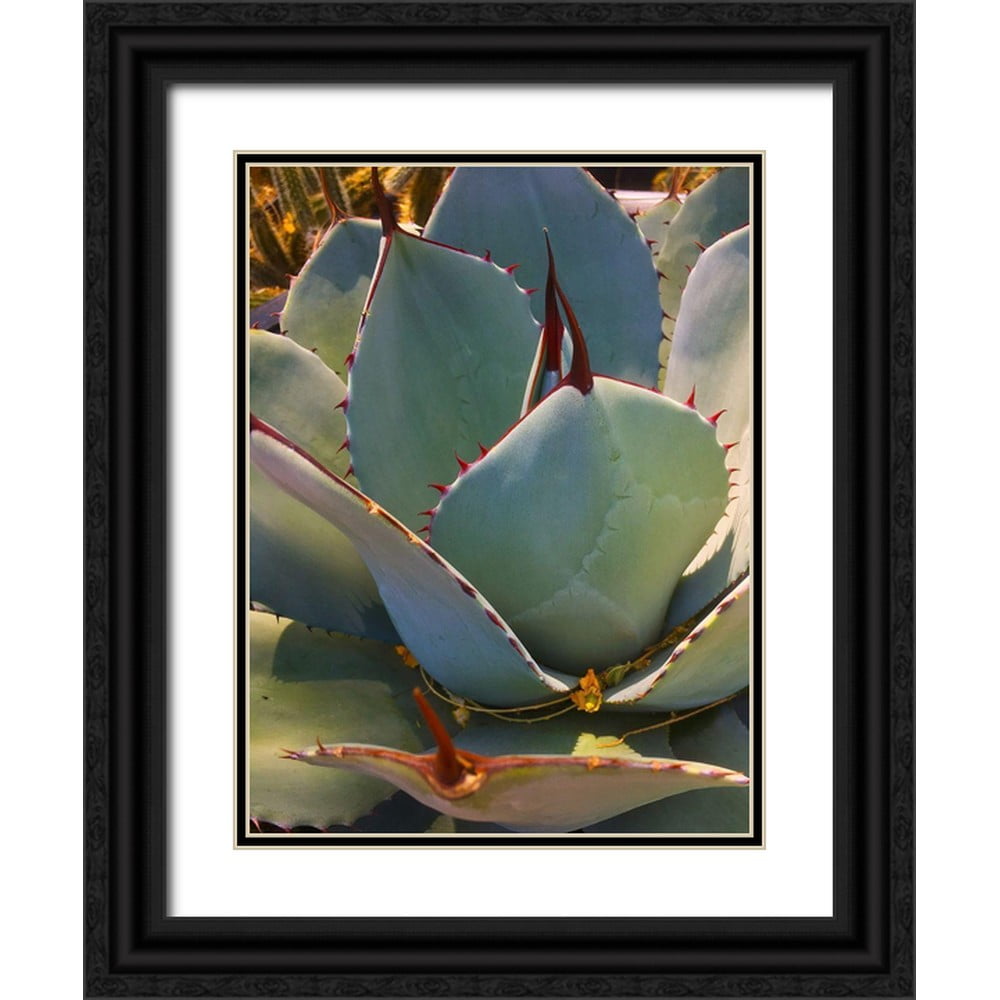 Tenoever, William 12x14 Black Ornate Wood Framed with Double Matting ...