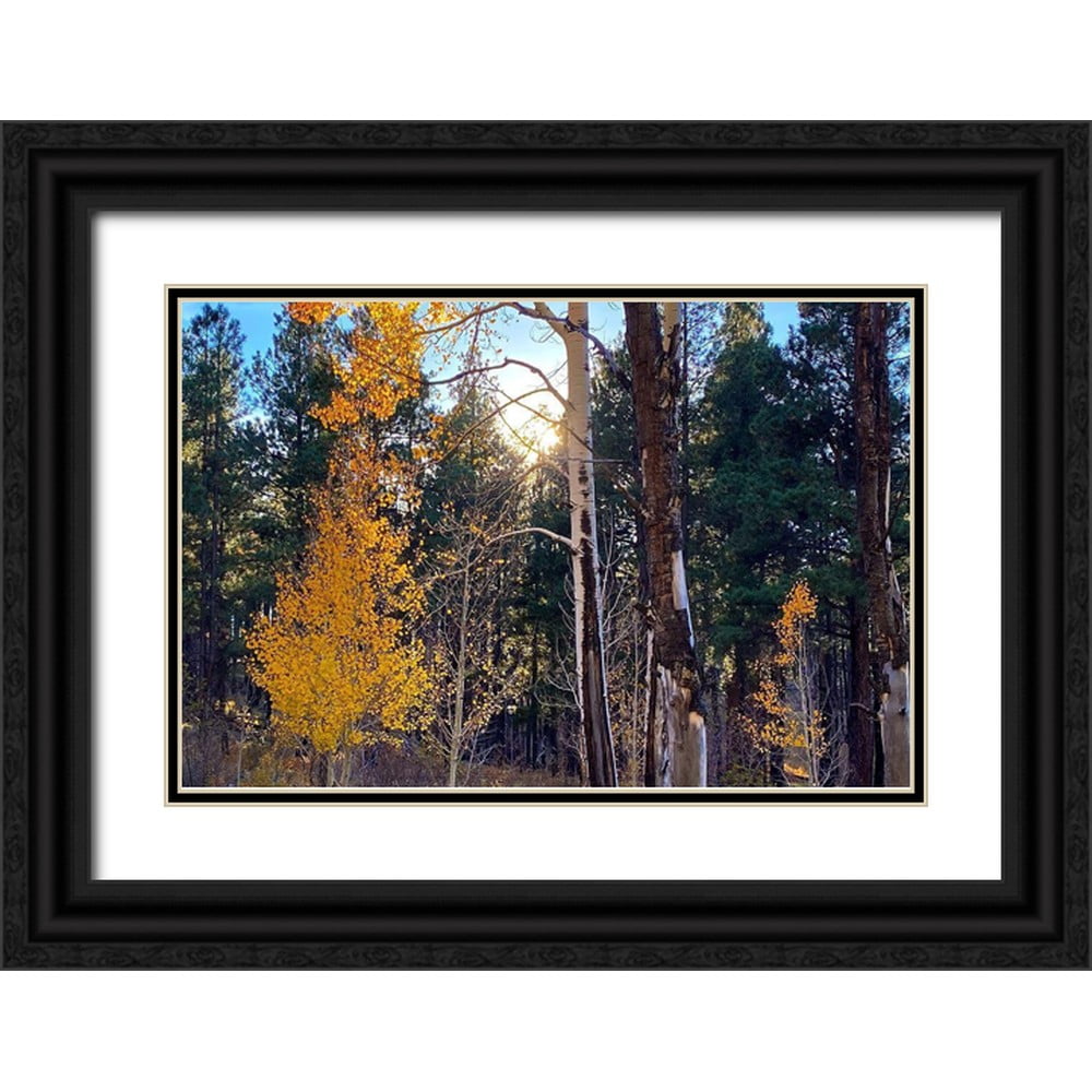 Tenoever, William 14x11 Black Ornate Wood Framed with Double Matting ...